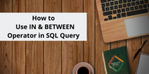 How to use IN & Between operator in SQL Query